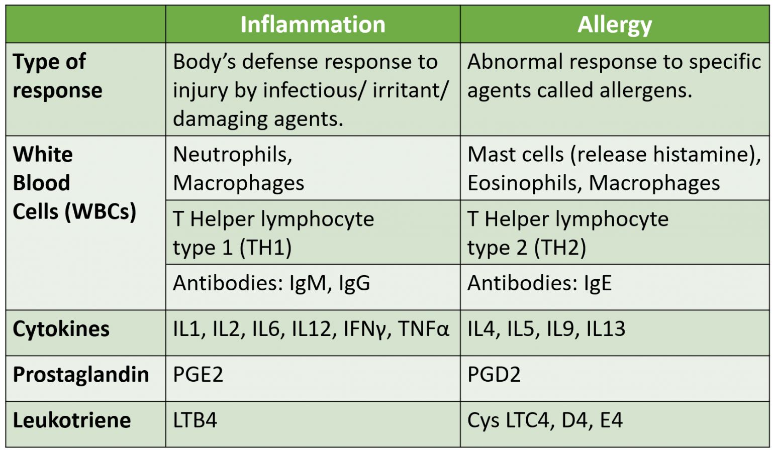 Inflammation and Allergy- Body's reactions and responses