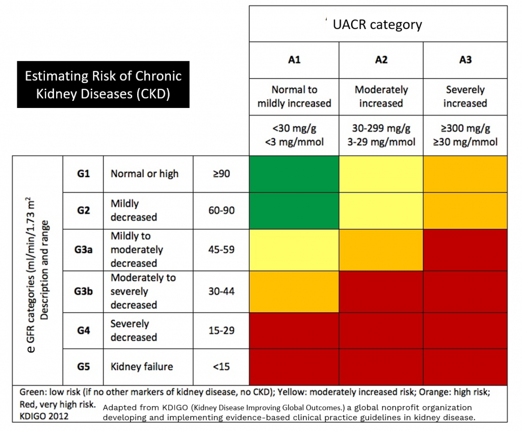 Chronic Kidney Disease (CKD) - 5 Key Points of Understanding